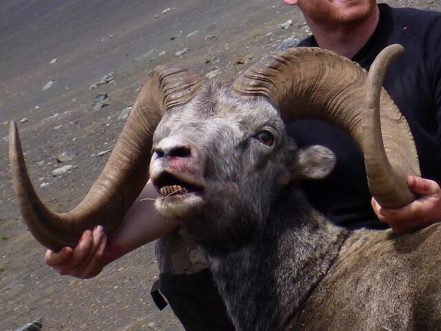 Hunting Territories | McCowans Sales and Consulting